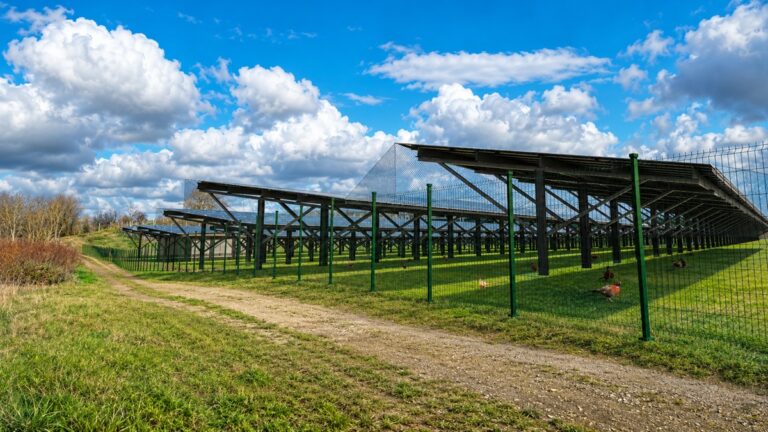 UNITe finance trois volières photovoltaïques avec les Caisses d’Epargne ...